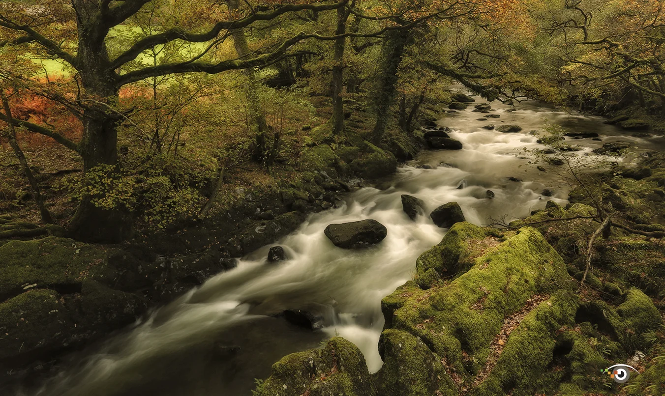 Capture the Beauty of Flowing Water — Rick Sammon Photography