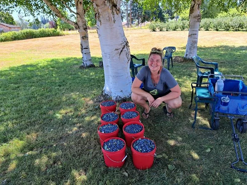 Photos — Blue Dot Farm