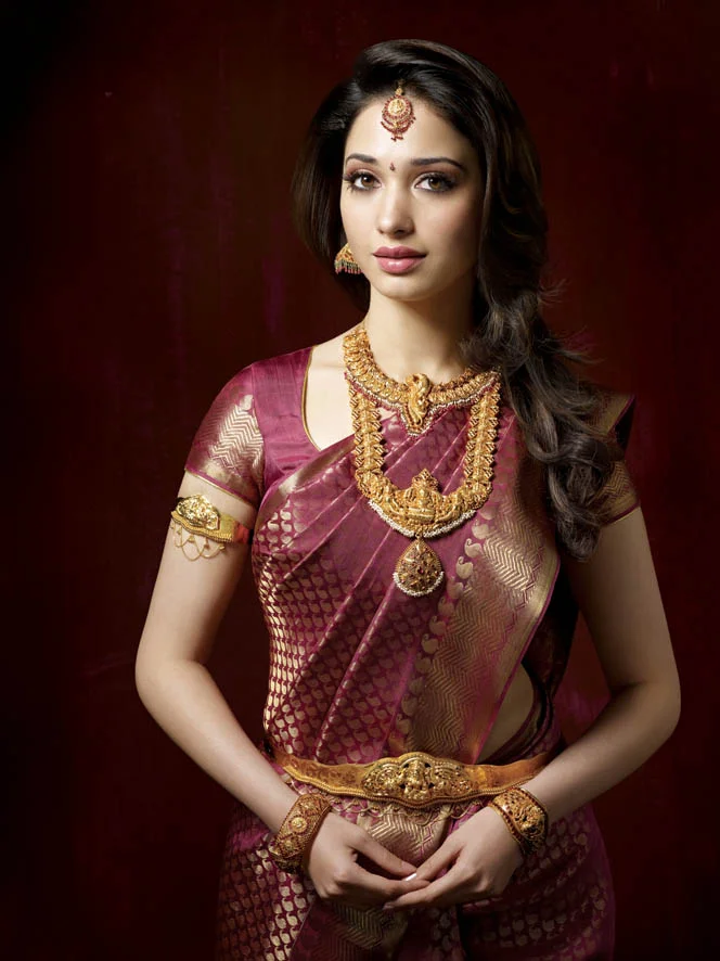 Celebrity — Radhakrishnan Chakyat