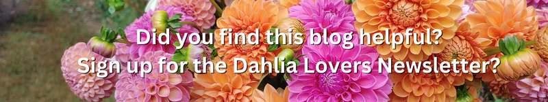 Fraylick Farm - A Little Flower Therapy