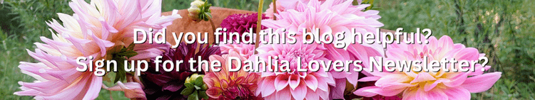 Fraylick Farm - A Little Flower Therapy