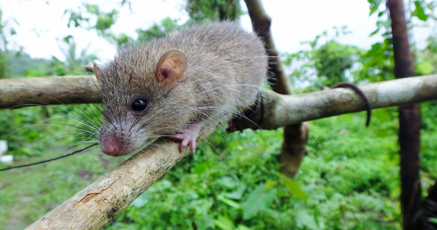 He Knows Much Biology — Positively Filipino | Online Magazine for ...