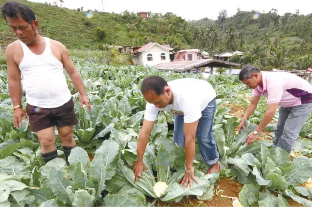 Farmers Deserve to be Rich — Positively Filipino | Online Magazine for ...