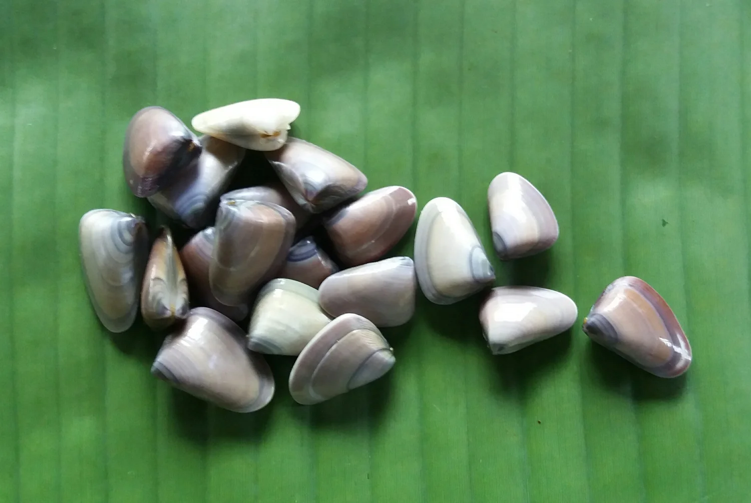 Gakka — Positively Filipino | Online Magazine for Filipinos in the Diaspora