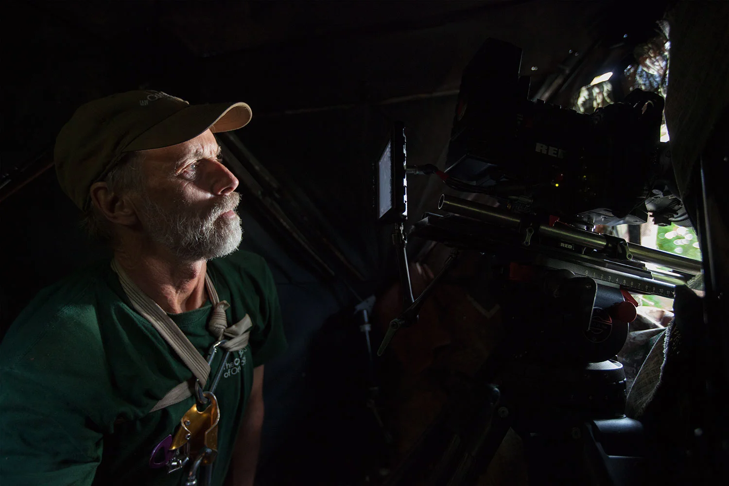 What a ‘Bird of Prey’ Can Teach Humans — Positively Filipino | Online ...