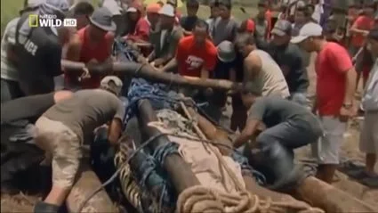 Lolong, The Giant Crocodile’s Legacy is a Wake-Up Call — Positively ...