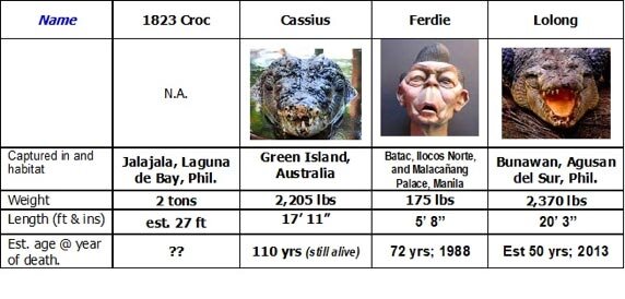 Lolong, The Giant Crocodile’s Legacy is a Wake-Up Call — Positively ...