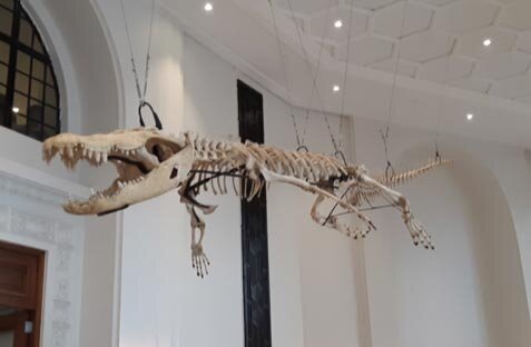 Lolong, The Giant Crocodile’s Legacy is a Wake-Up Call — Positively ...