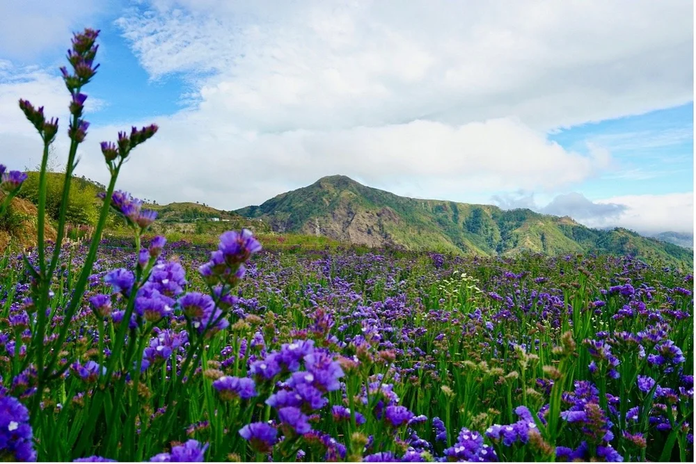 A Matriarch’s Legacy Flowers in the Mountains — Positively Filipino ...