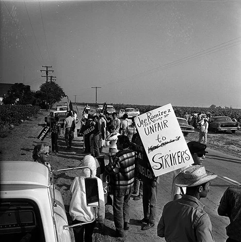 The Historic Delano Grape Strike’s Sacrifices and Rewards — Positively ...