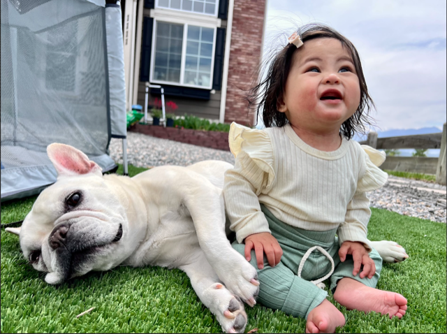 Little Miss Maddie, Gerber Baby 2023 — Positively Filipino | Online ...