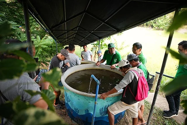 In Coron, Palawan: Earth-Friendly Farming with a Side of Eco Tours — Positively Filipino ...