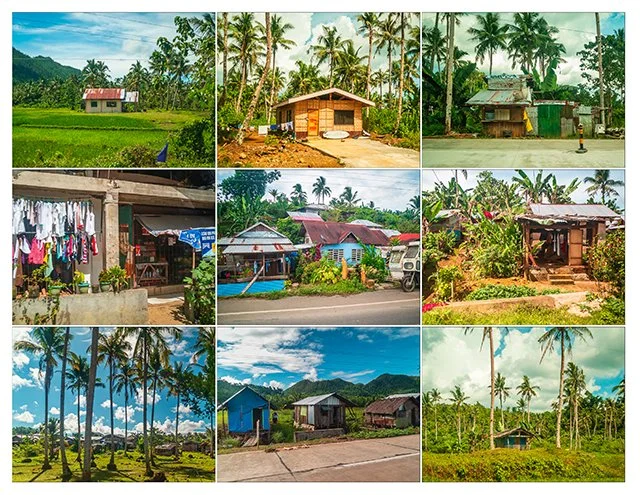 Why Did the Chickens Go to Siargao? — Positively Filipino | Online ...