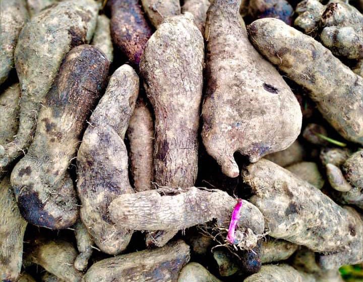 Rooted in Tradition — Positively Filipino | Online Magazine for ...