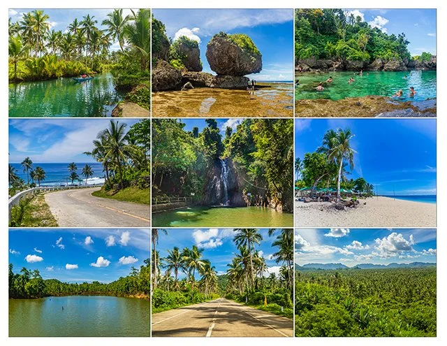 Why Did the Chickens Go to Siargao? — Positively Filipino | Online ...