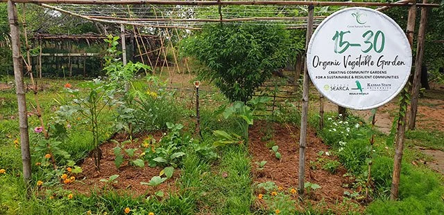 In Coron, Palawan: Earth-Friendly Farming with a Side of Eco Tours ...