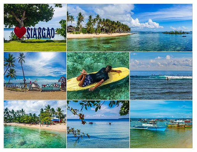 Why Did the Chickens Go to Siargao? — Positively Filipino | Online ...