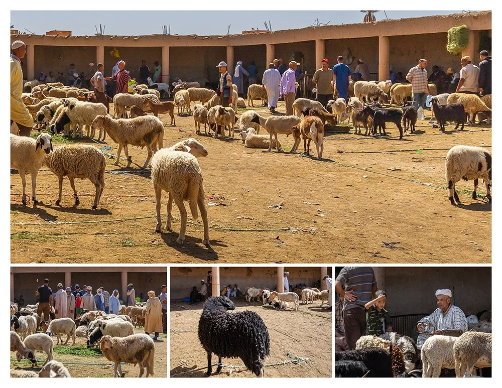 Tuareg for a Day in the Moroccan Sahara — Positively Filipino | Online ...
