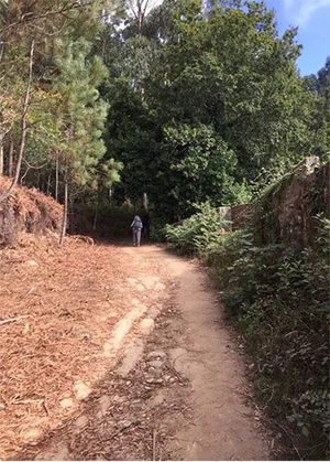 Camino Portuguese, a Walk for All Ages — Positively Filipino | Online ...