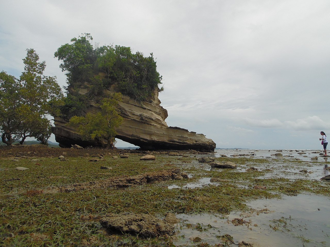 Look, Stranger, on this Island Now — Positively Filipino | Online ...