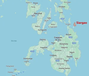 Why Did the Chickens Go to Siargao? — Positively Filipino | Online ...
