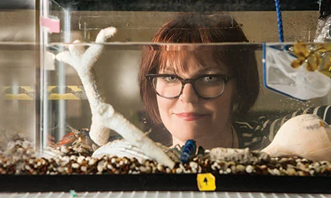 More about Jennifer Basil and the Chambered Nautilus — You're the Expert