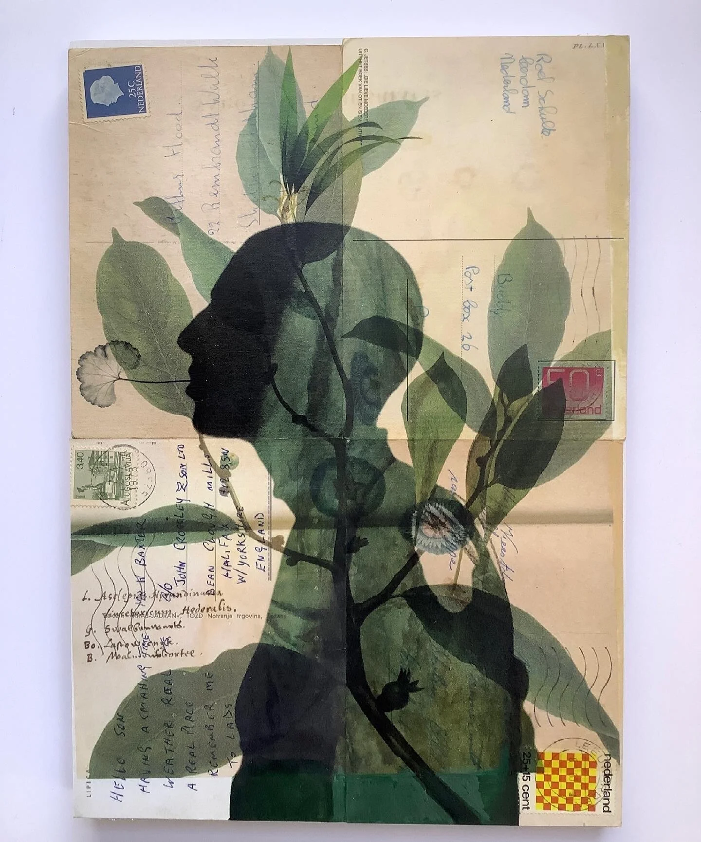 Original Works — Sarah Jarrett