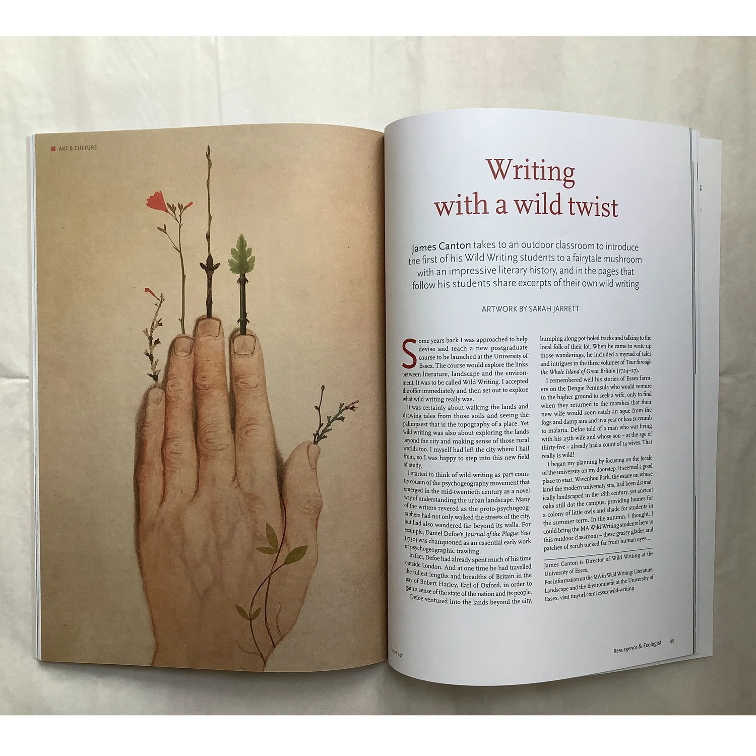 Special Projects — Sarah Jarrett