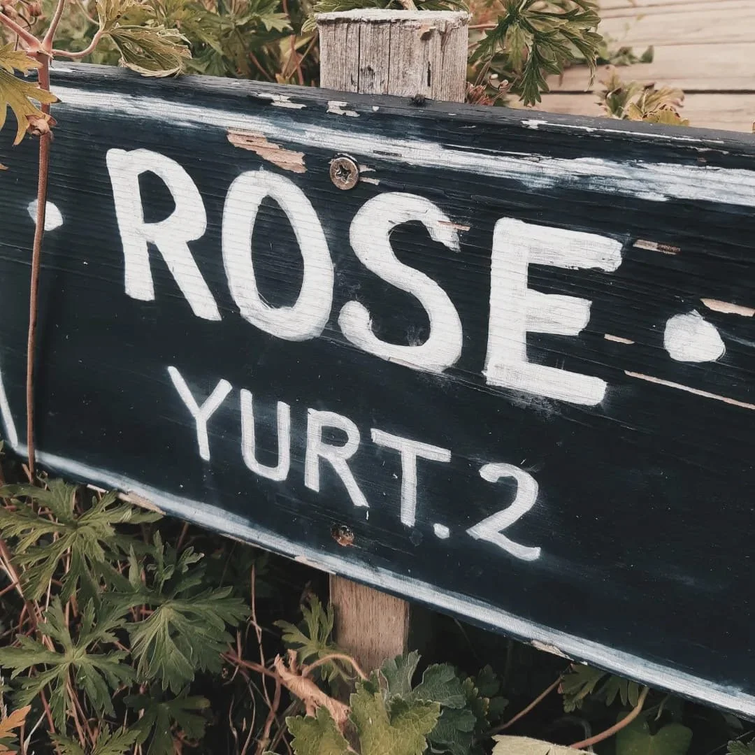Green Valley Yurts - Glamping in Dorset
