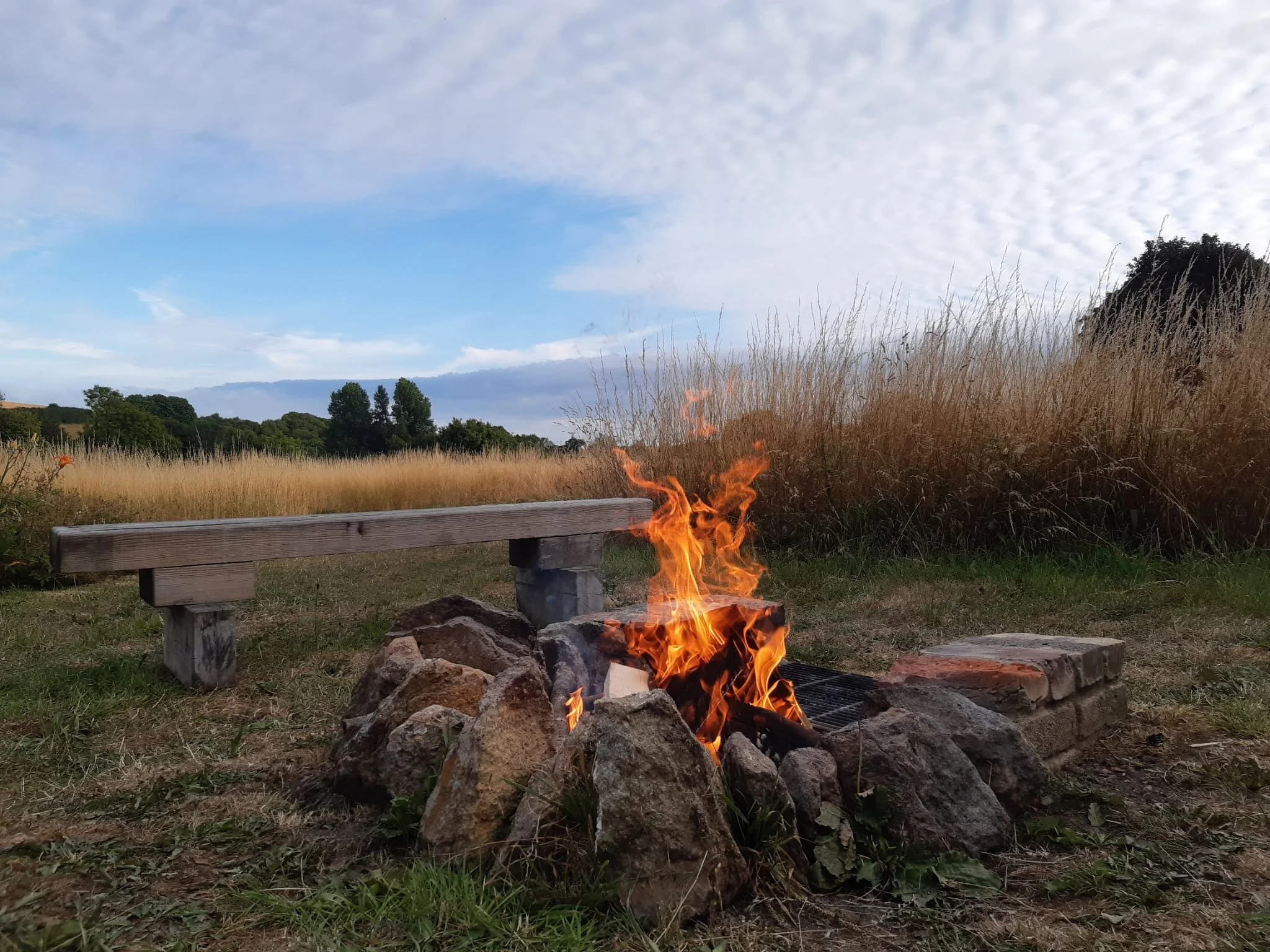 Green Valley Yurts - Glamping in Dorset