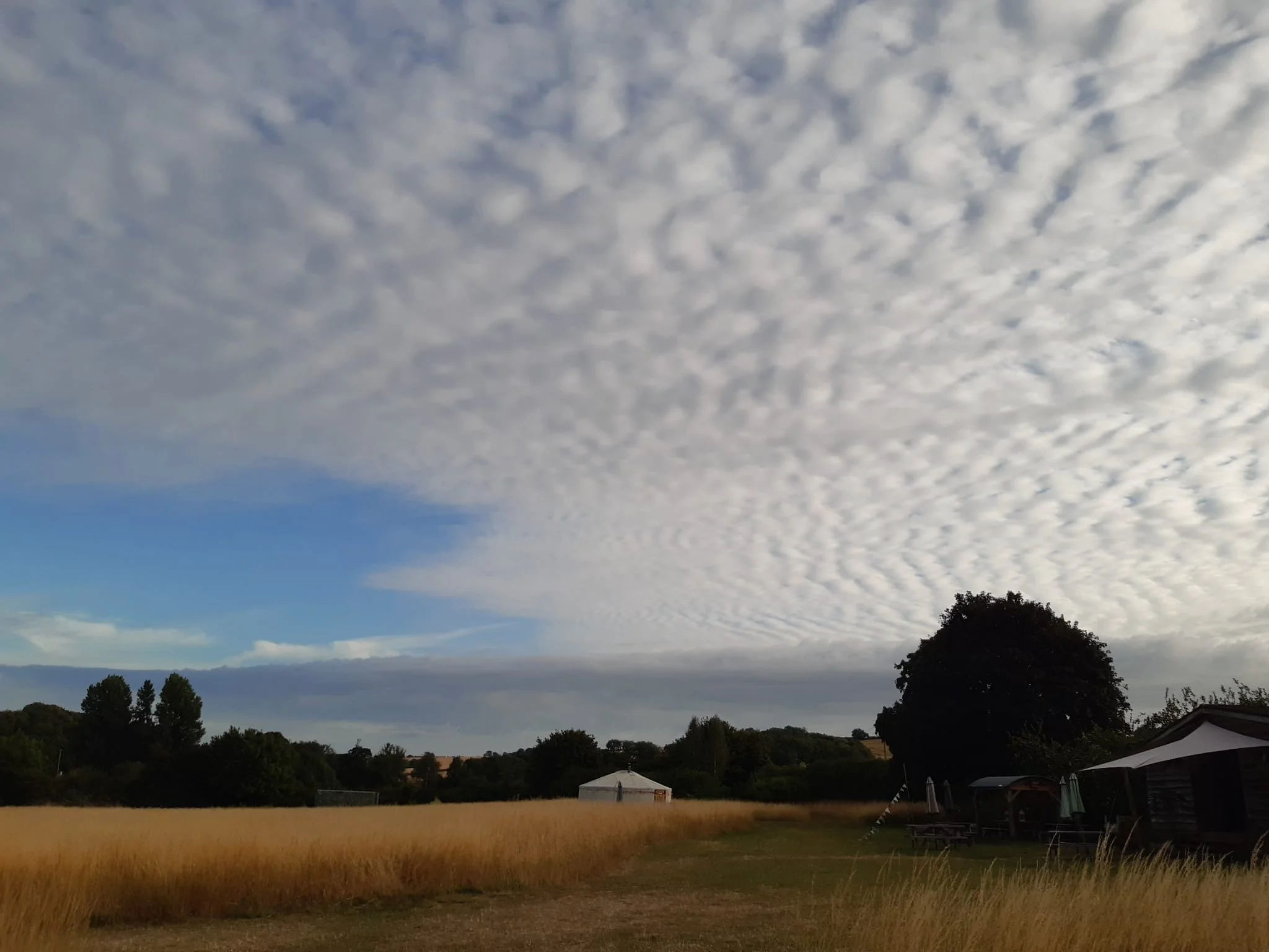 Green Valley Yurts - Glamping in Dorset