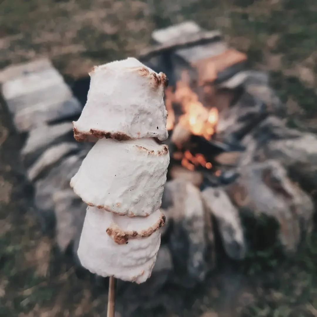 Green Valley Yurts - Glamping in Dorset