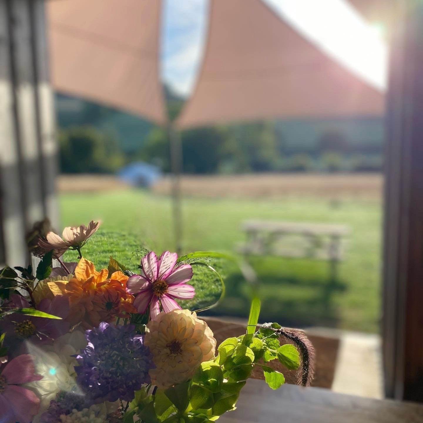 Green Valley Yurts - Glamping in Dorset
