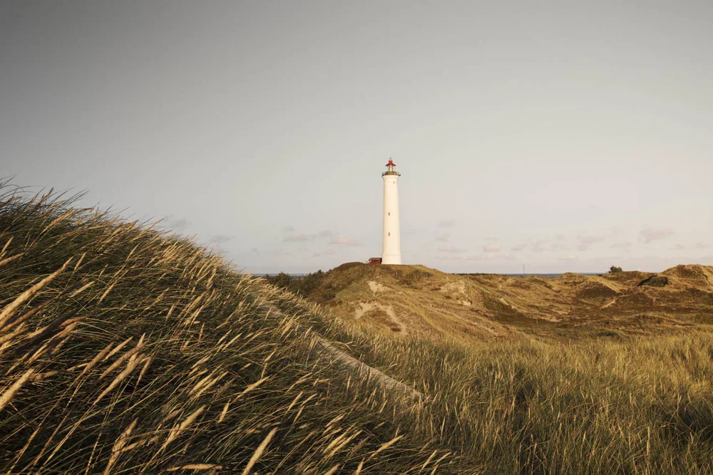 Highlights in West Jutland, Denmark 🇩🇰 — Claire Droppert | Photographer