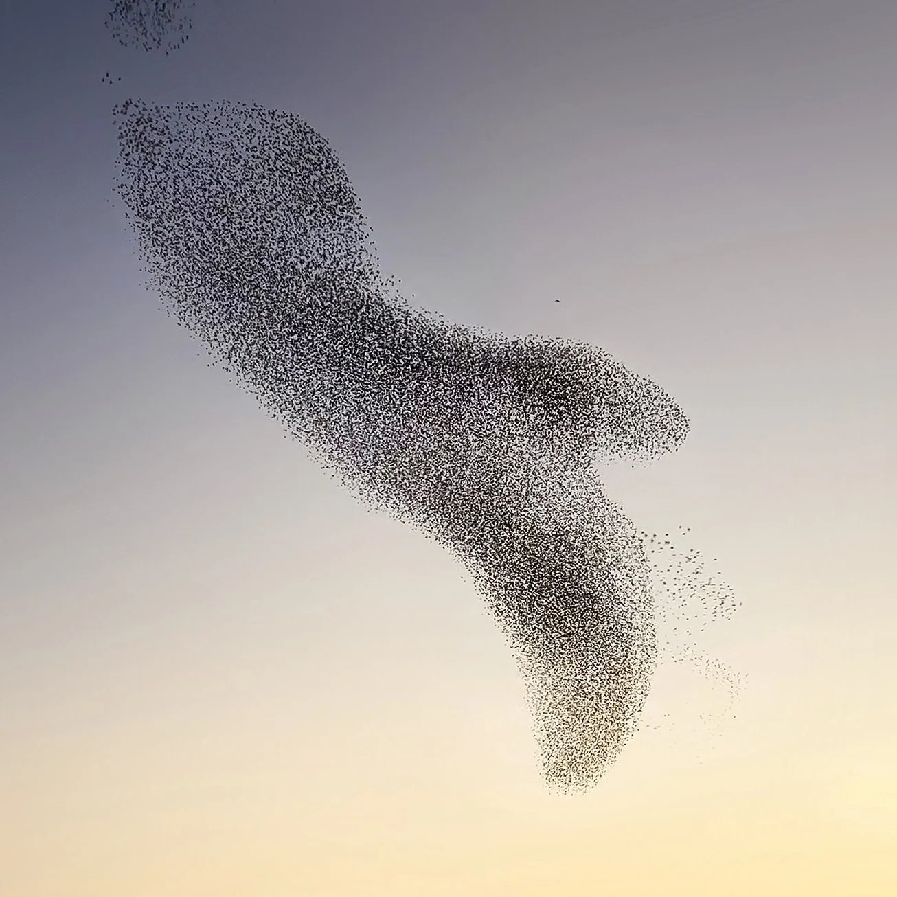 Claire Droppert - Conceptual Fine Art Photography series