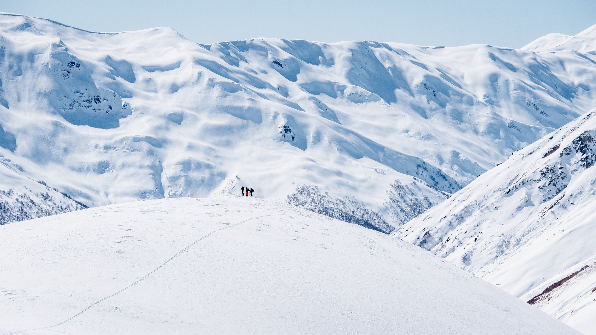 Black or White - Daniel Keppler / Marketing services & content creation