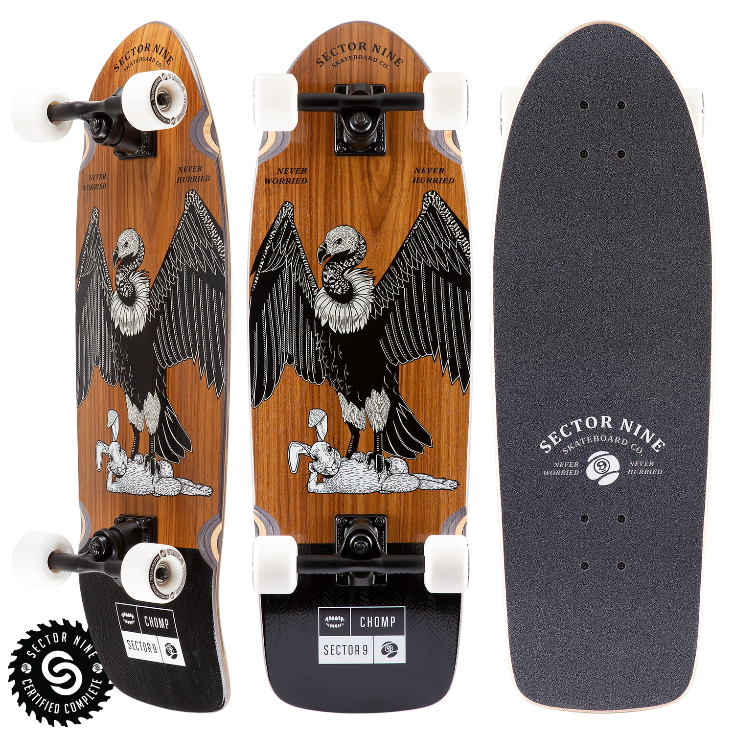 Sector 9