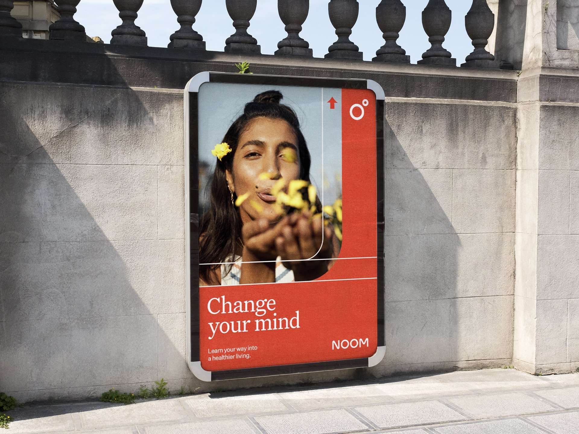 Noom Brand Refresh — Sue Murphy