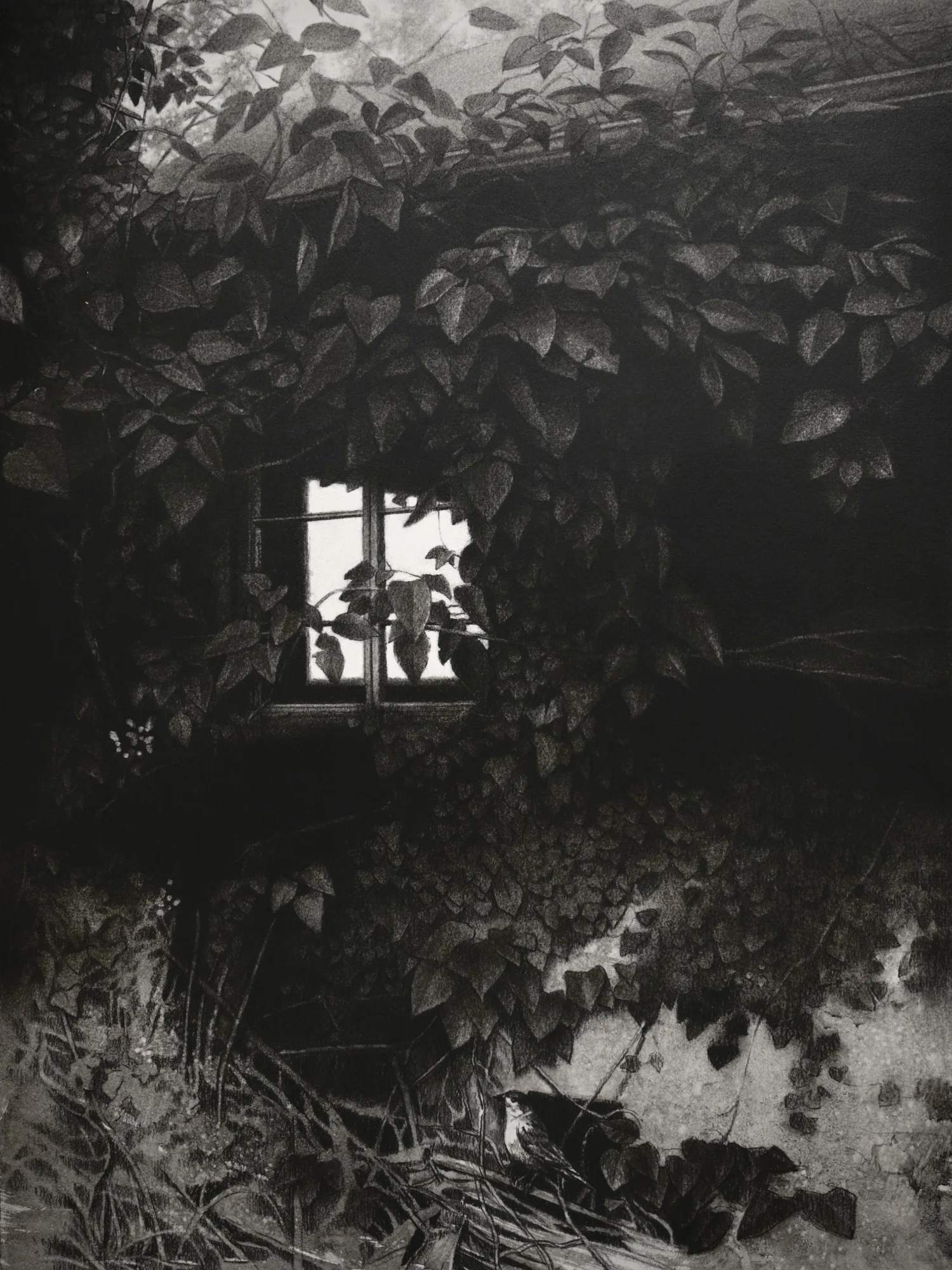 A Dialogue with Sparrows and Hurricane Helene — REUBEN NEGRÓN