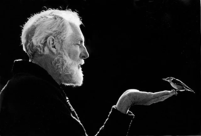 %CLessons Learned — George F. Mobley