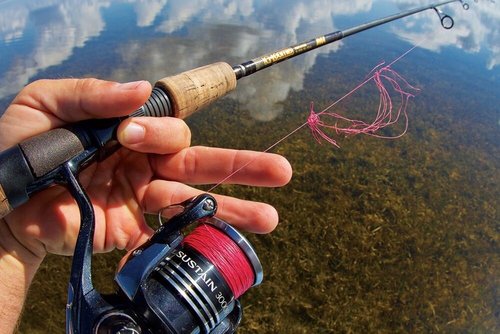 Bill Siemantel | Freshwater Fishing Hall of Fame | The BBZ : trophy ...