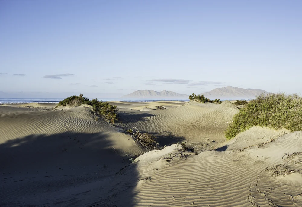 Magdalena Bay. Baja, Mexico