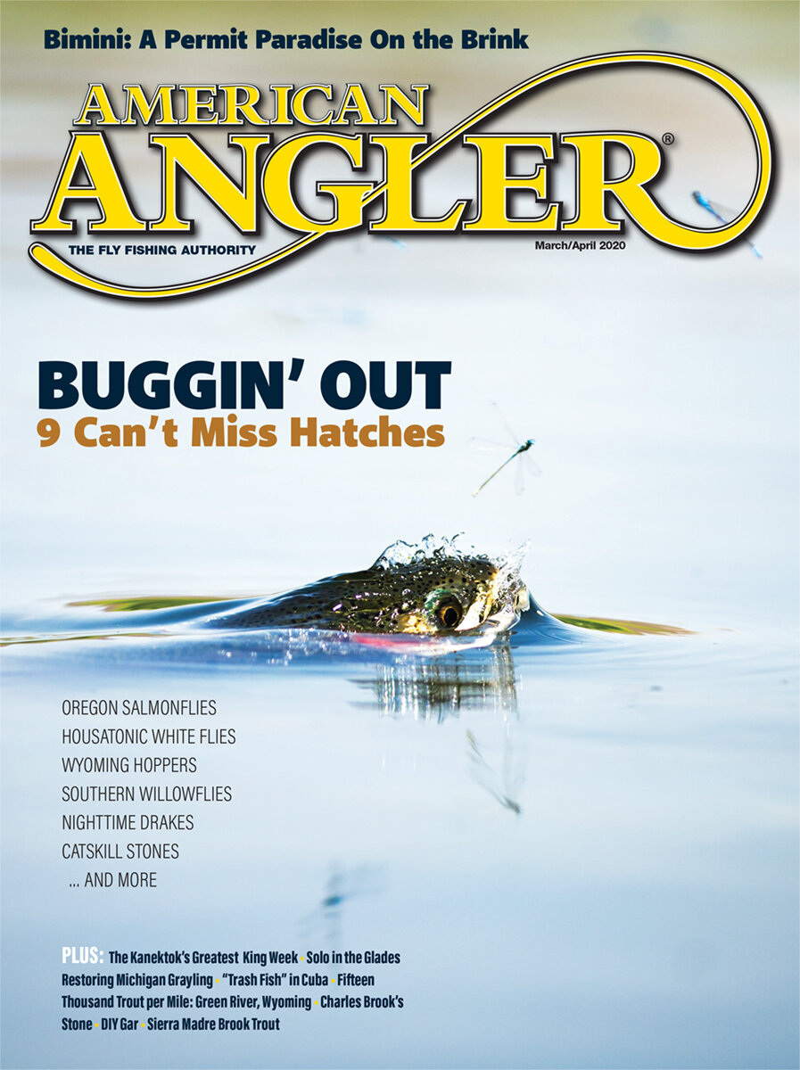 American Angler Cover