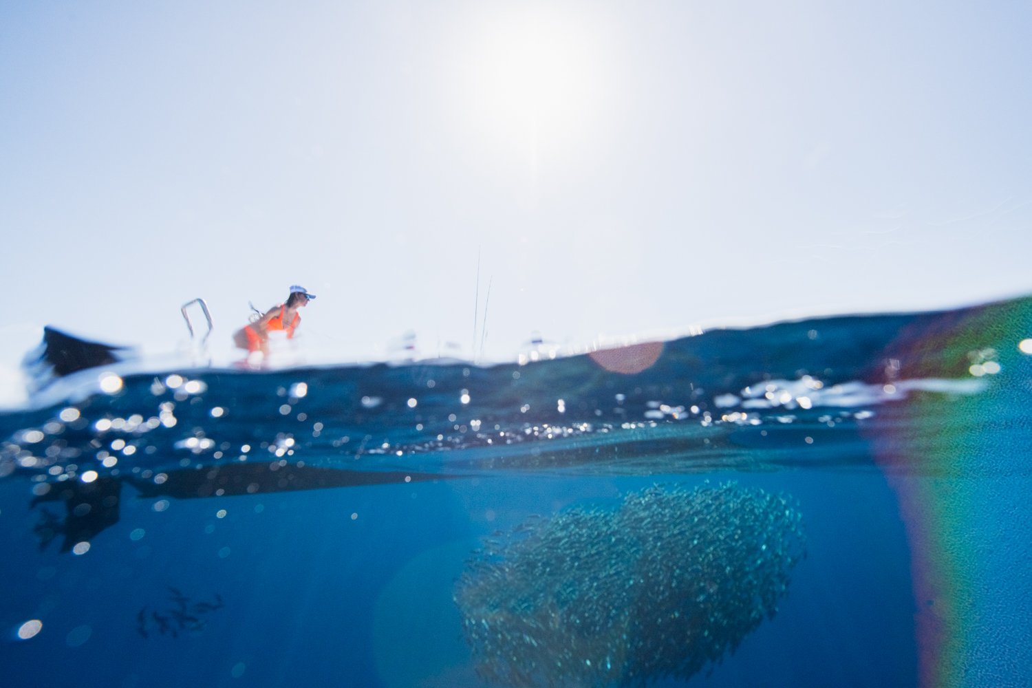 Costa Marlin Fly Project