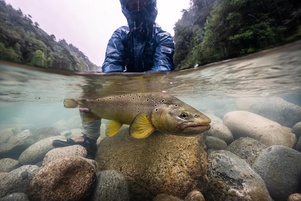 Fly Fishing Chile