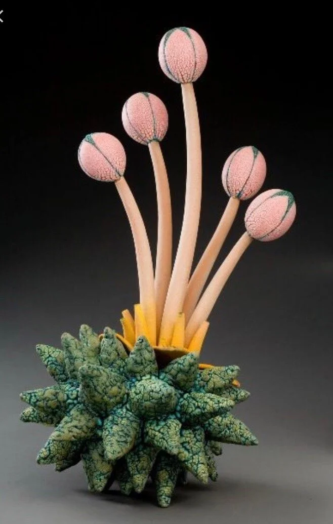 William Kidd — Tampa Tour De Clay