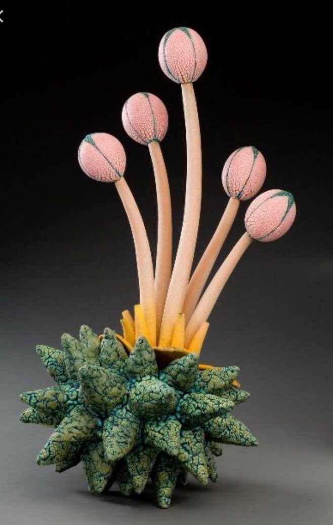 William Kidd — Tampa Tour De Clay