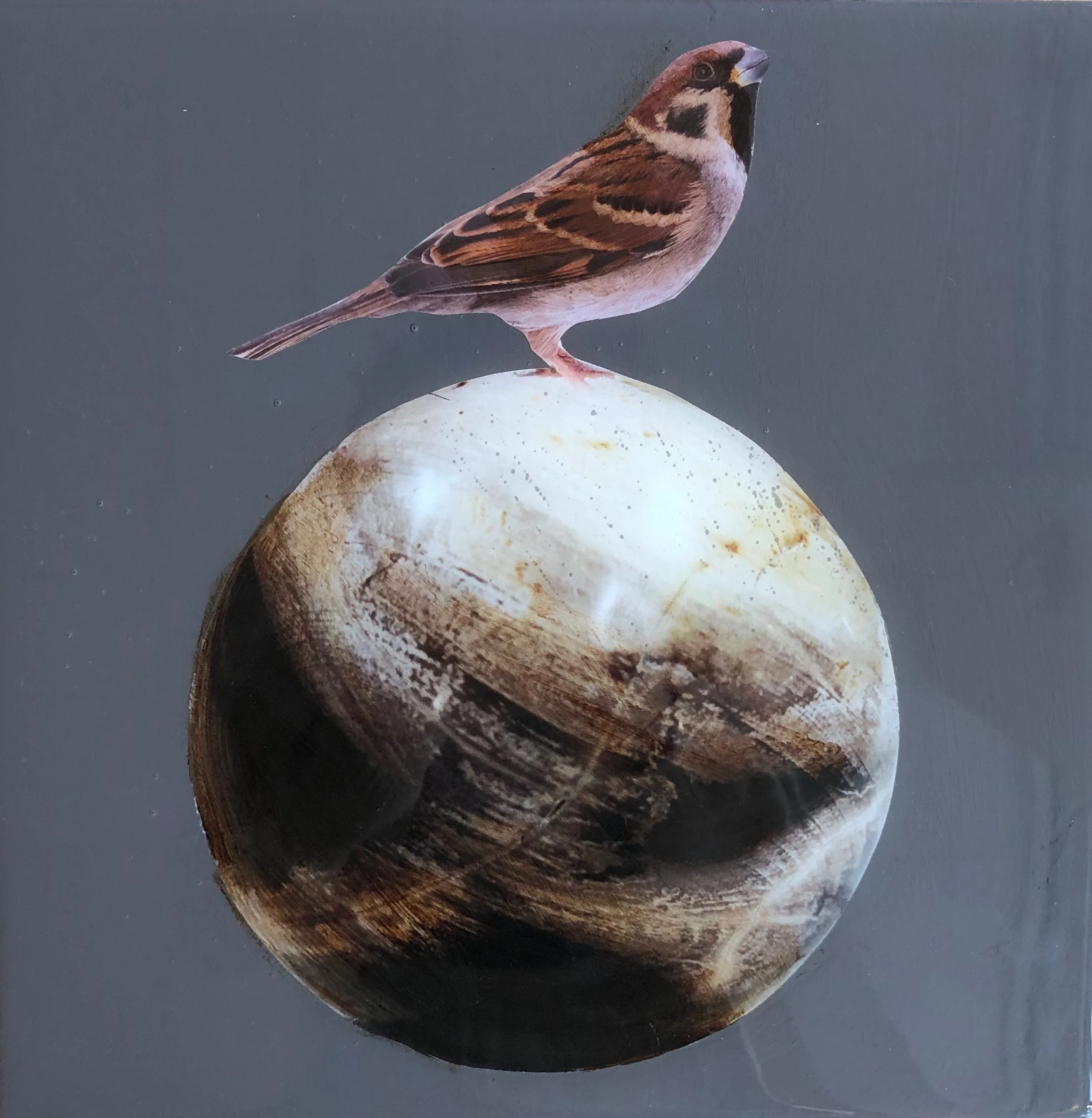 anke schofield — hidell brooks gallery