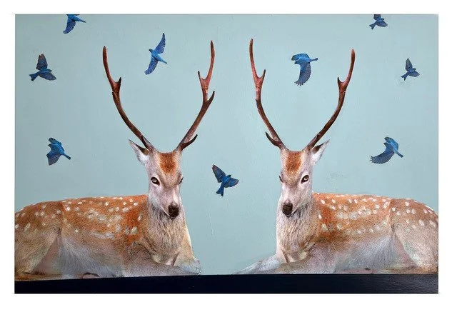 anke schofield — hidell brooks gallery