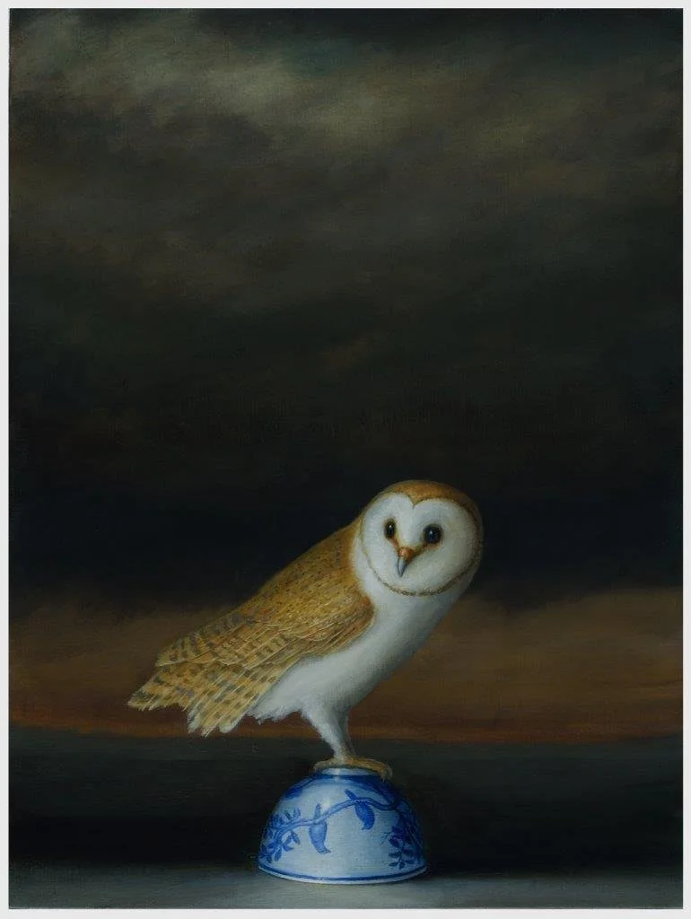 david kroll — hidell brooks gallery